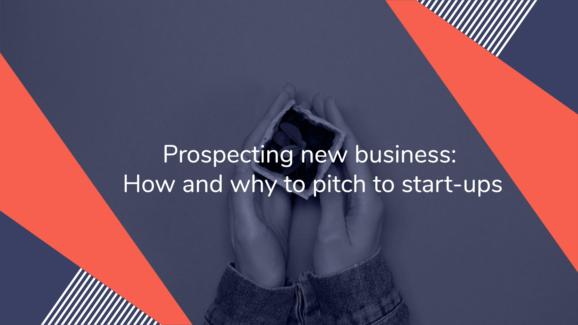 Prospecting new business: How and why to pitch to start-ups | Sopro